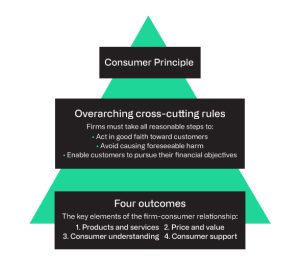 Consumer Duty - Advisers